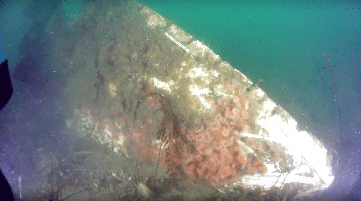 ROV Inspection – Endurance Marine Exploration